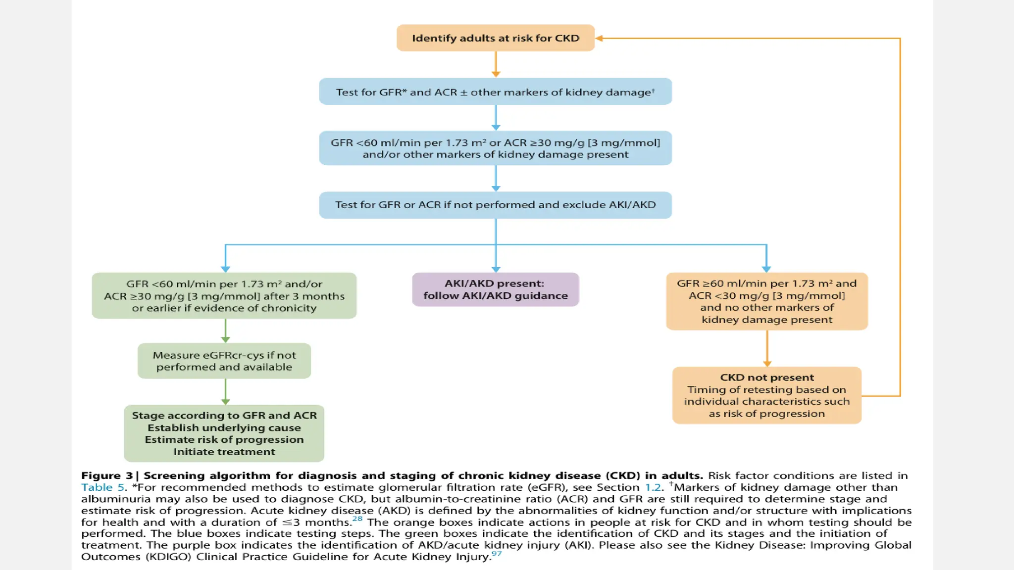Chronic kidney disease- from KDIGO guidelines | PPTX