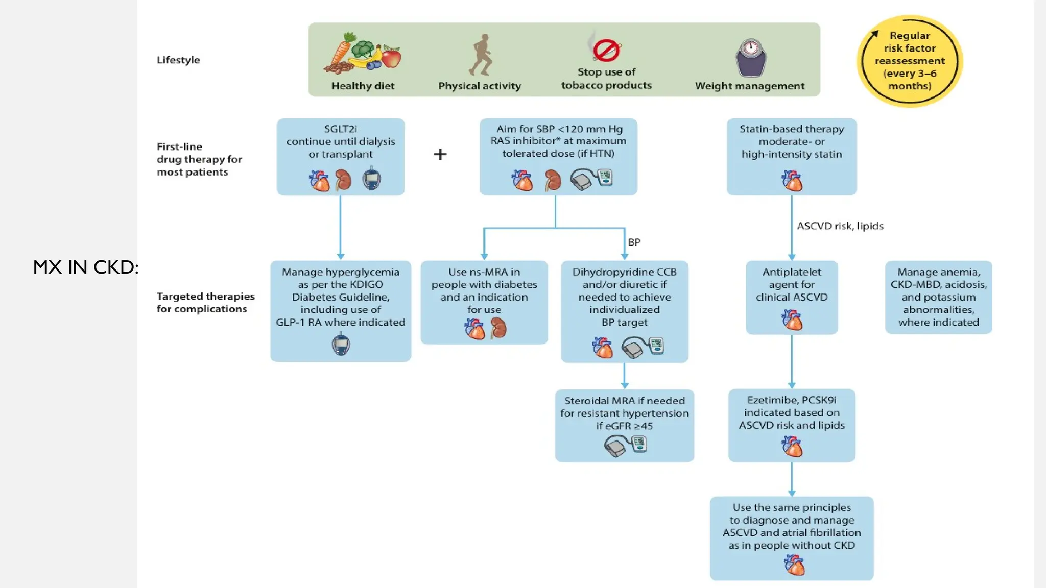 Chronic kidney disease- from KDIGO guidelines | PPTX