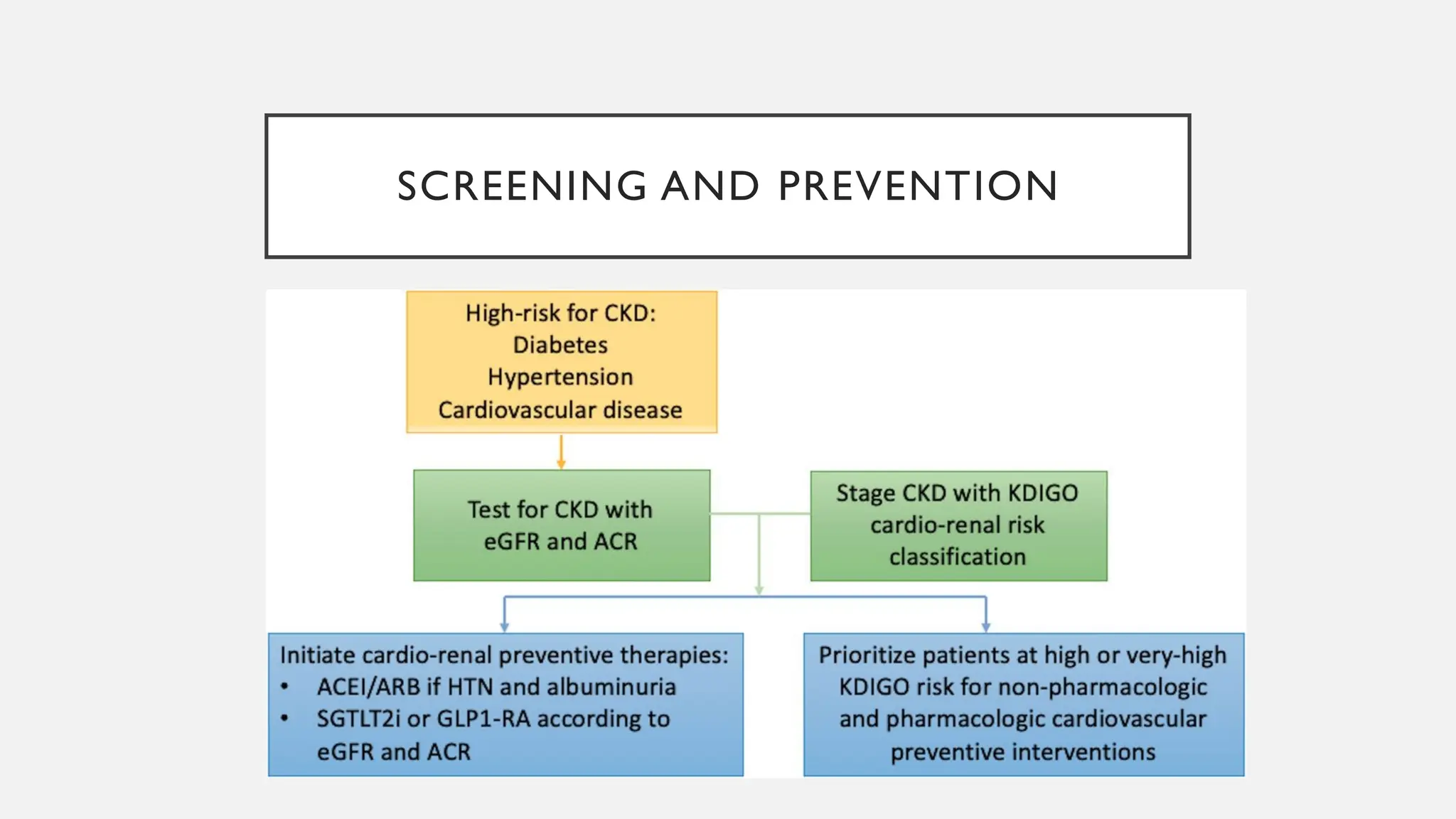 Chronic kidney disease- from KDIGO guidelines | PPTX