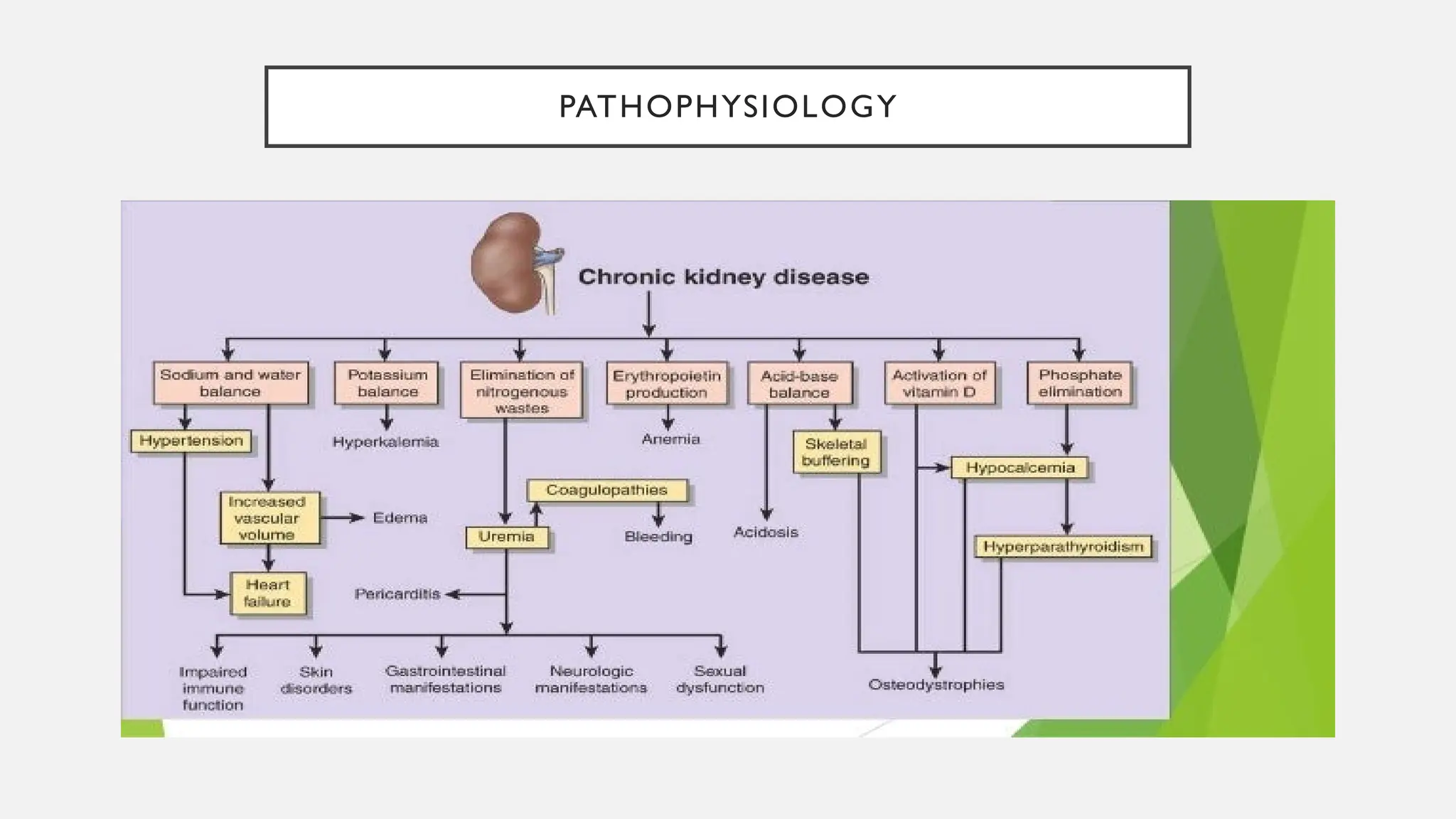 Chronic kidney disease- from KDIGO guidelines | PPTX