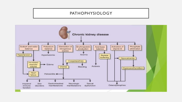 Chronic kidney disease- from KDIGO guidelines | PPT
