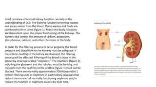 CHRONIC KIDNEY DISEASE prolanis.pptx