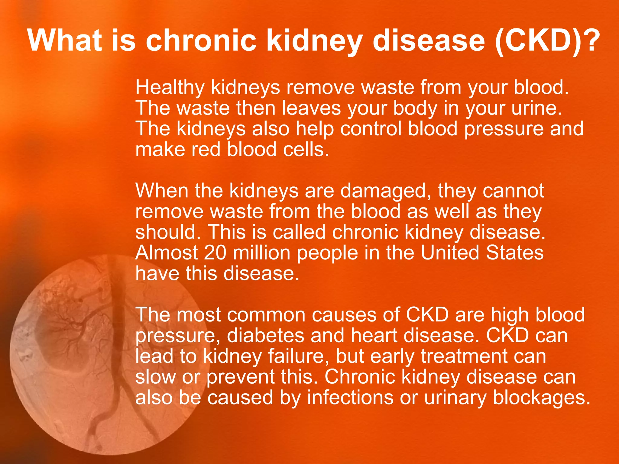 Chronic Kidney Disease | PPT