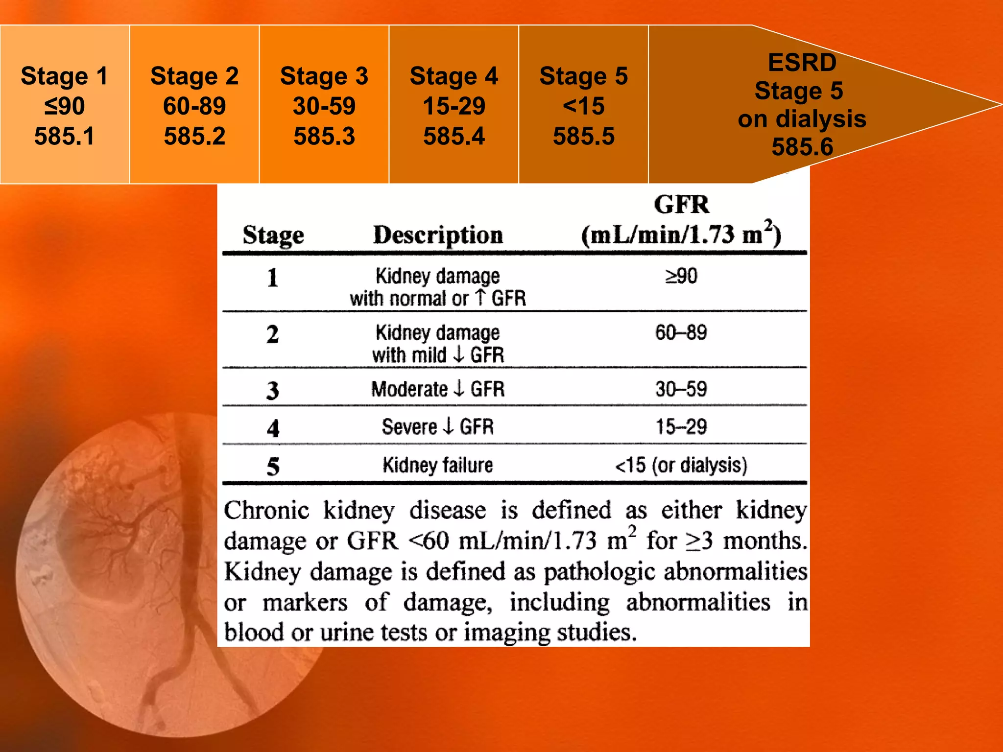 Chronic Kidney Disease | PPT