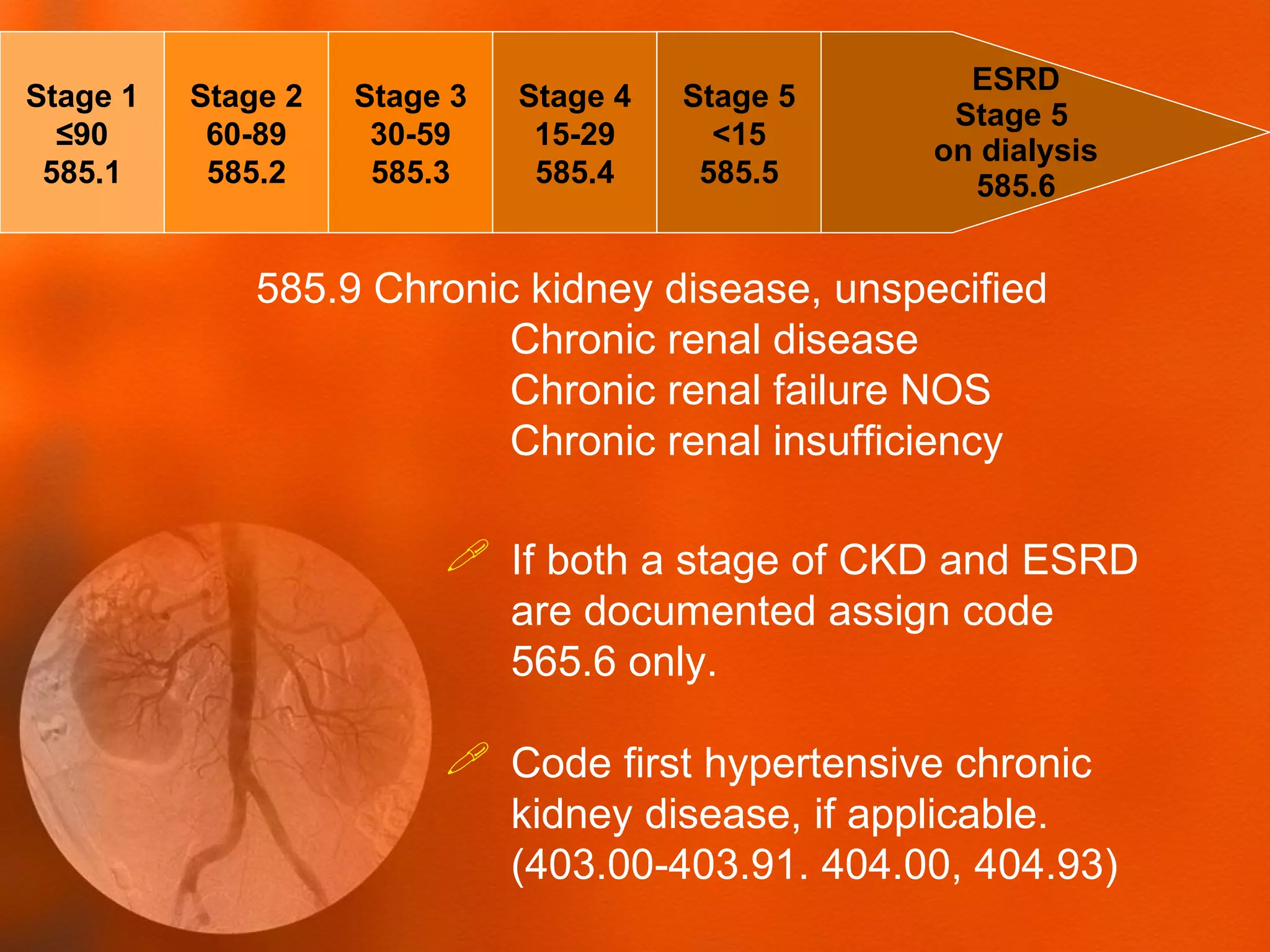 Chronic Kidney Disease | PPT