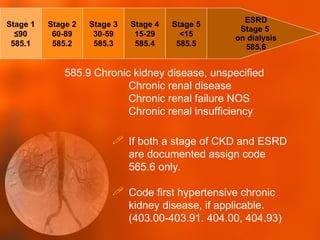 Chronic Kidney Disease | PPT