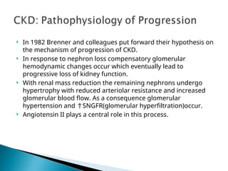 Chronic Kidney Disease undregrd. lecture - Copy.ppt