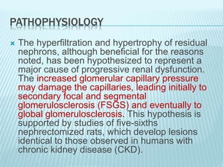 Chronic kidney failure | PPTX