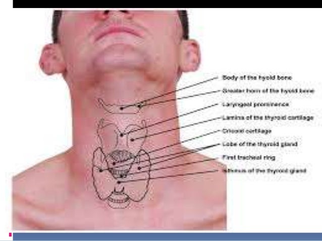 Chronic laryngeal infections