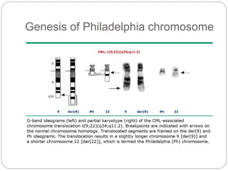 chronic leukemia.pptx