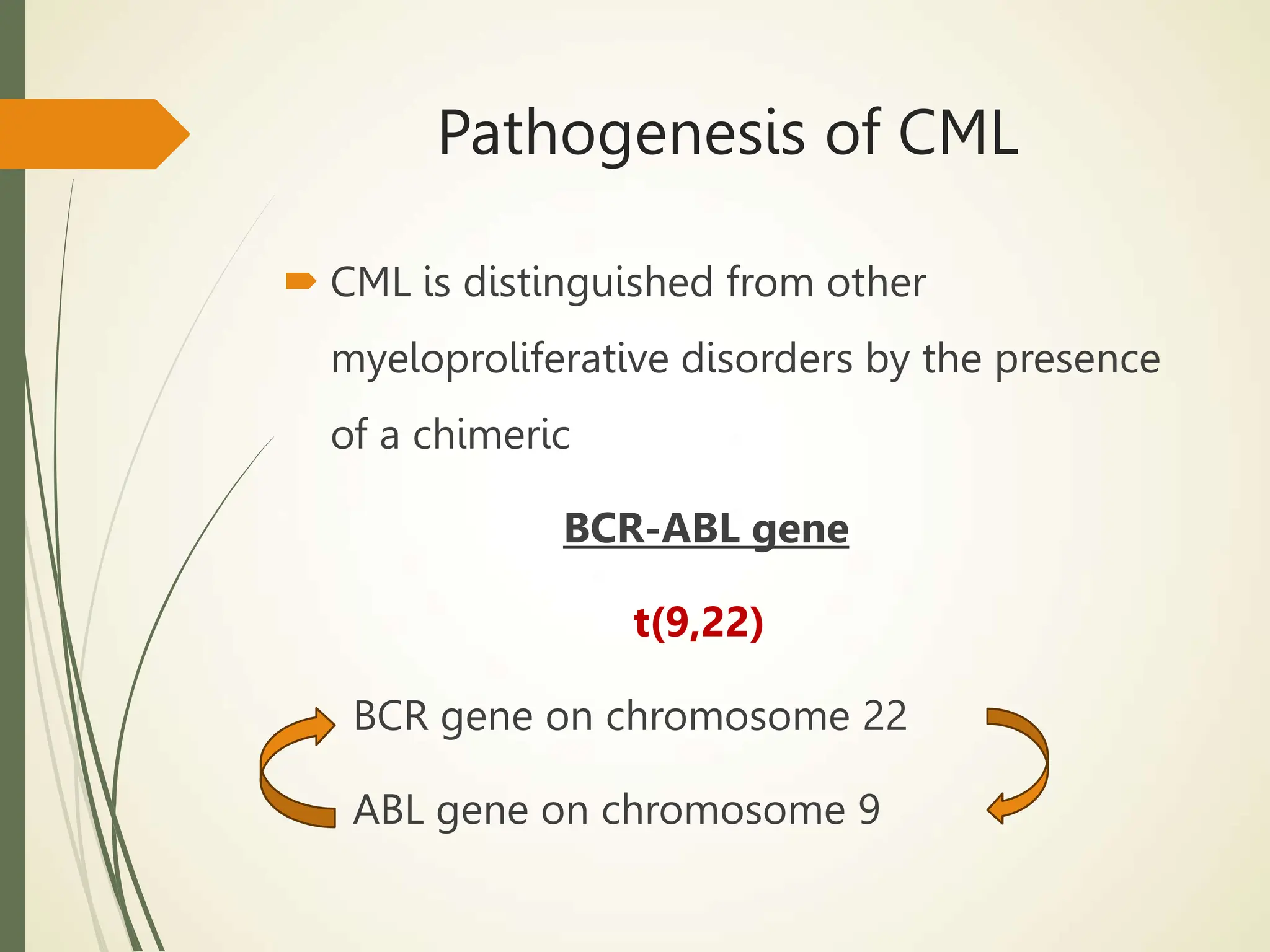 Chronic leukemias basic overview .ppt