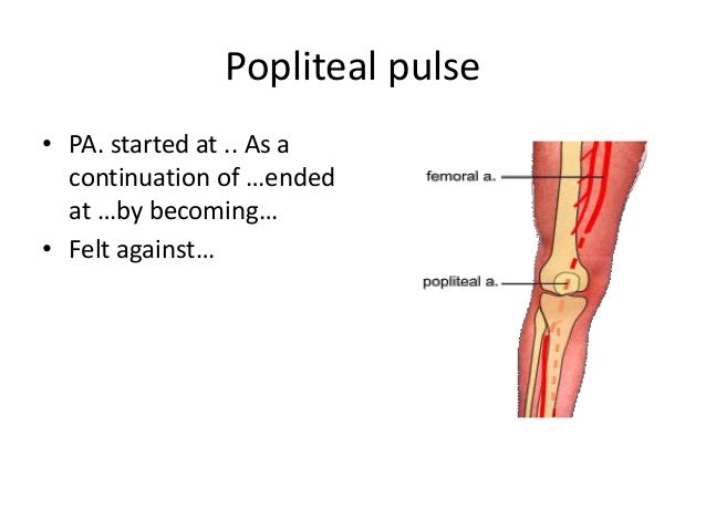 Chronic limb ischemia by Muhamad Fathy (MD)