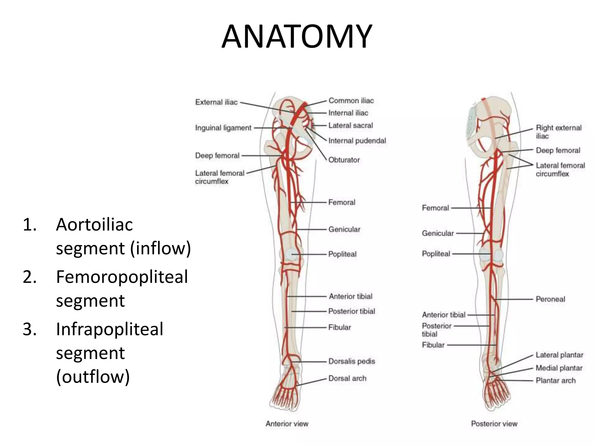 Chronic limb ischemia | PPTX