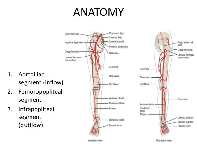 Chronic limb ischemia