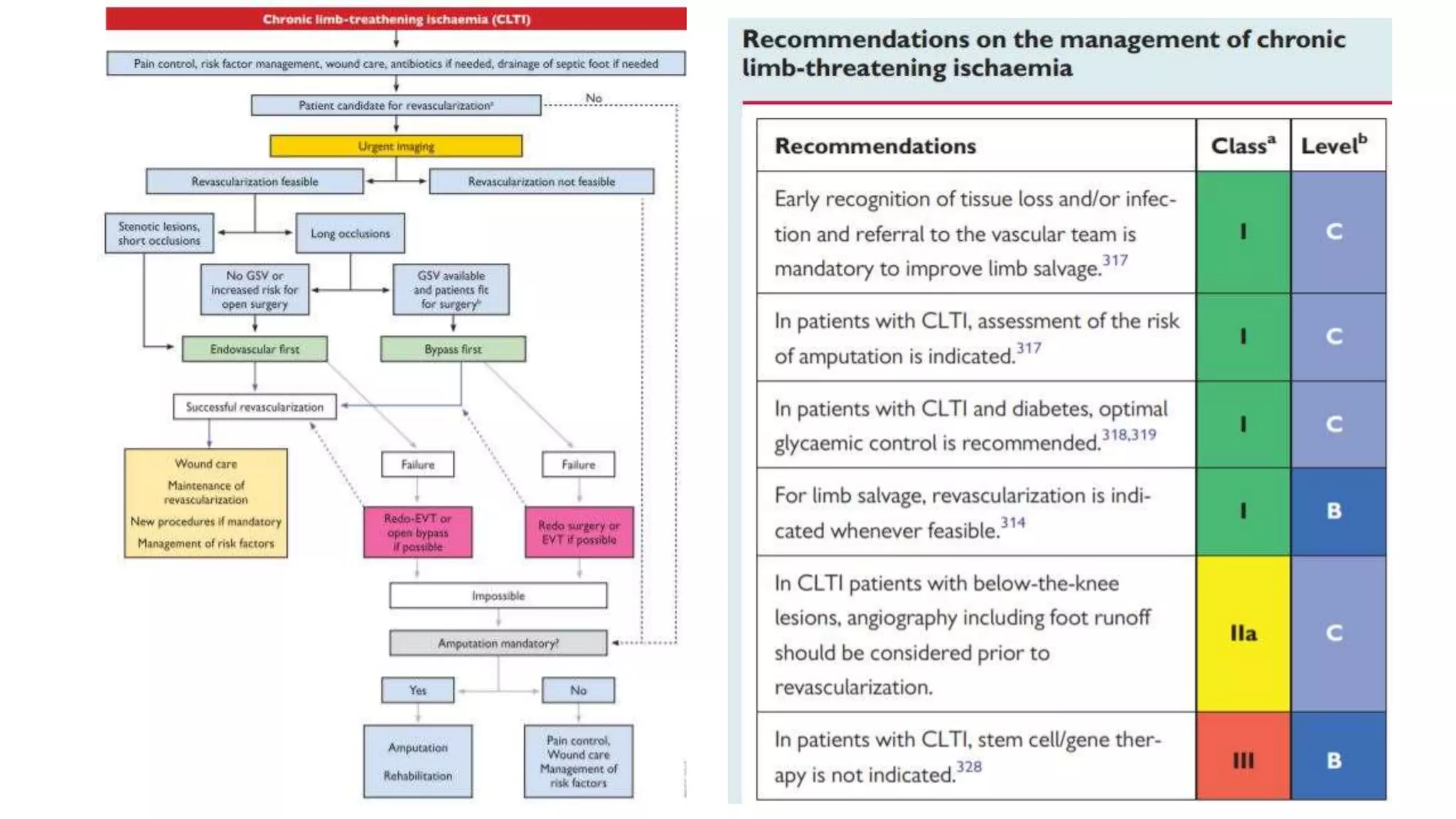 Peripheral Vascular disease / Chronic limb ischemia / CLI / Acute limb ...