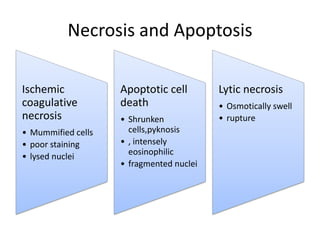 Chronic liver failure | PDF