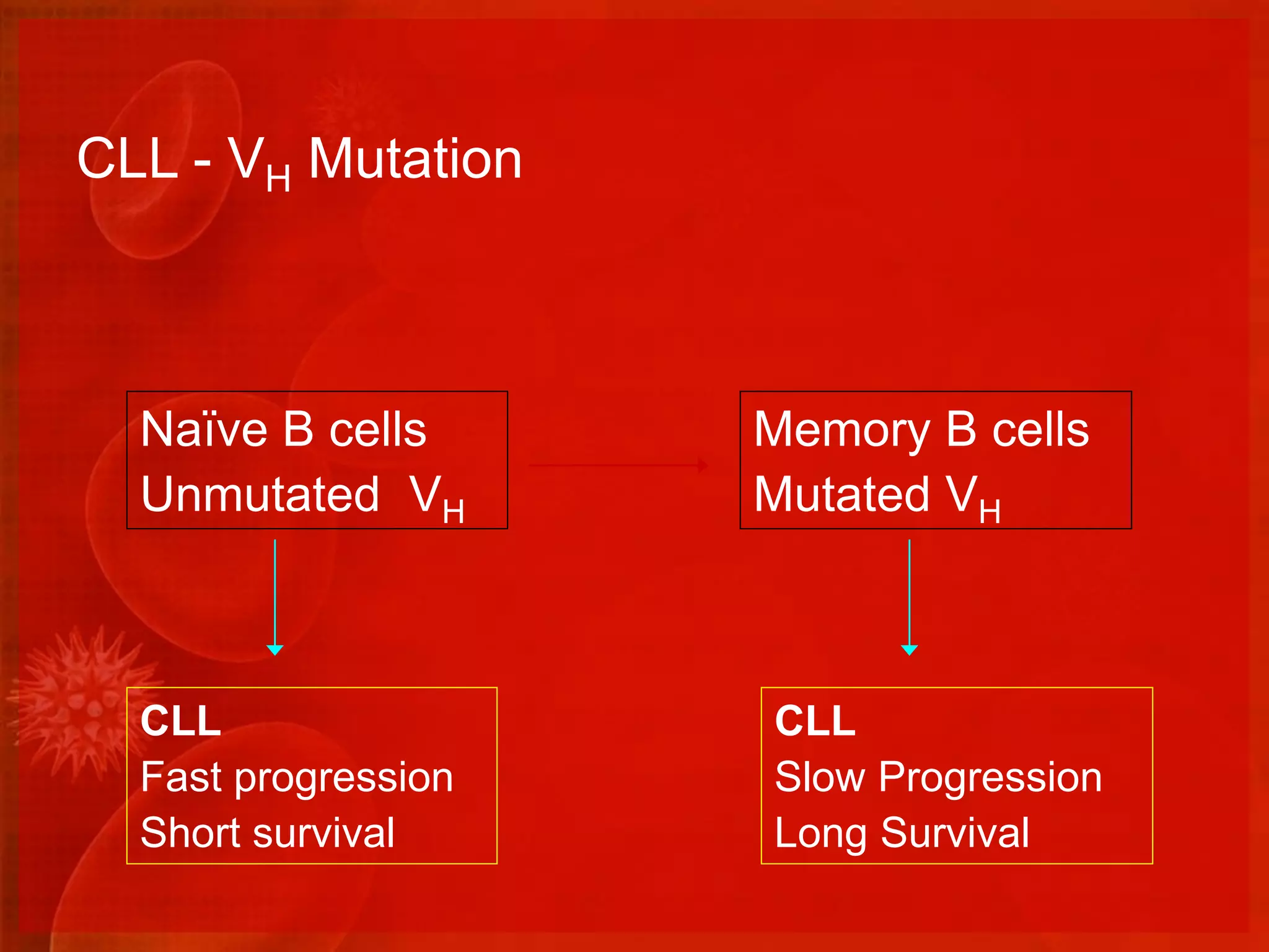 Chronic lymphocytic leukemia | PPTX