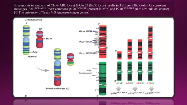 Cytogenetics in Chronic myeloid leukaemia | PPT