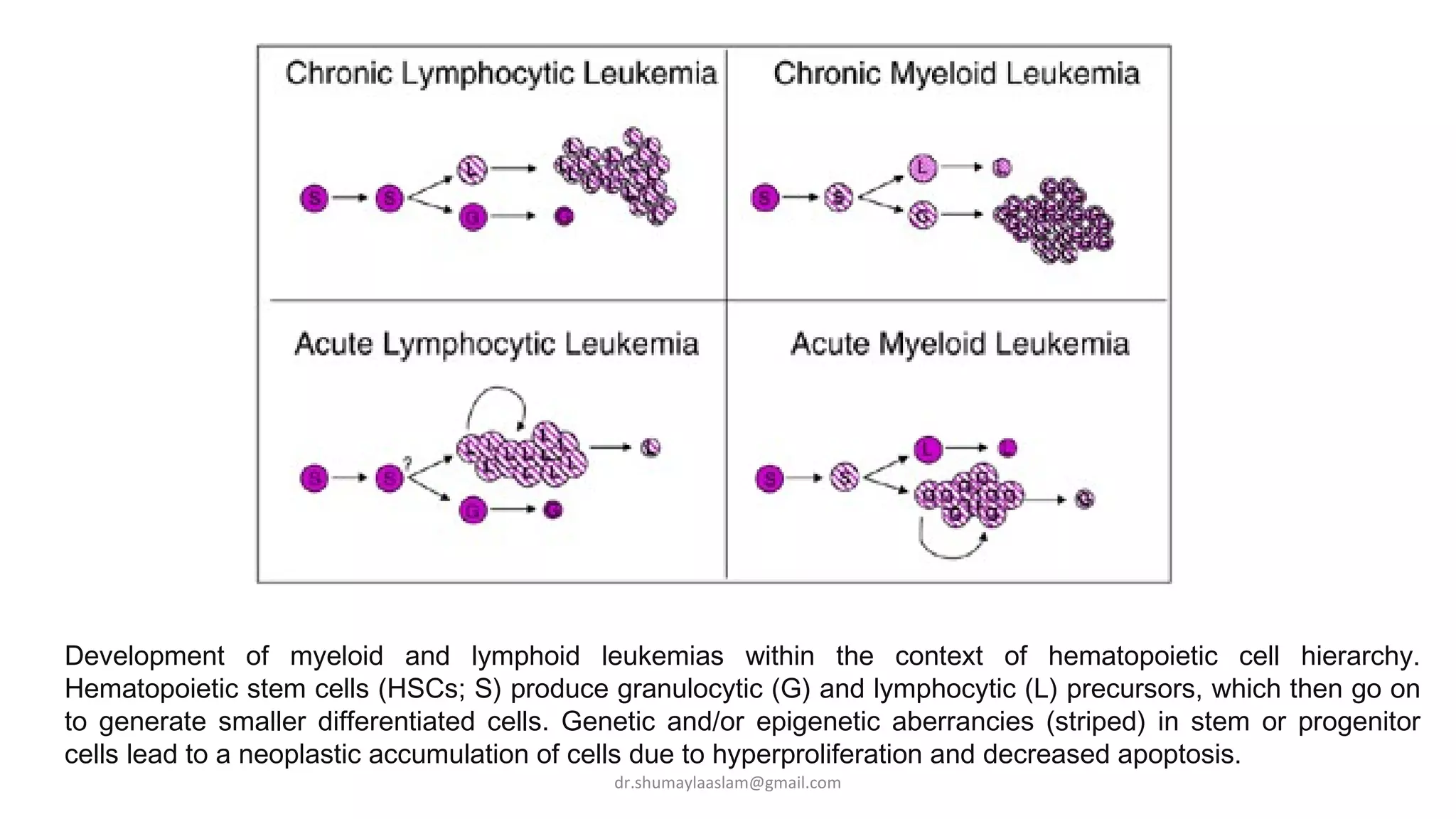 Chronic myeloid leukemia (CML) | PPT