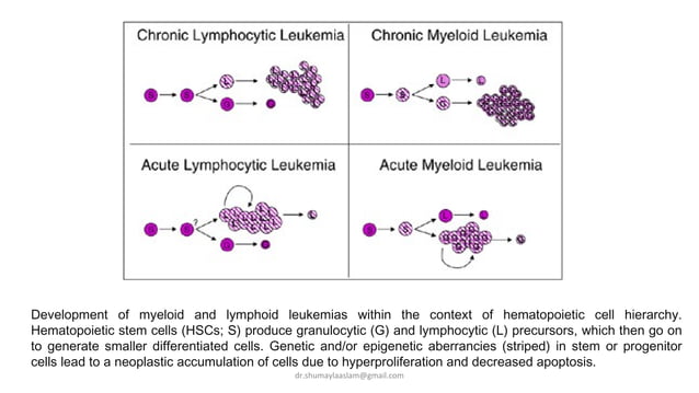 Chronic myeloid leukemia (CML) | PPT