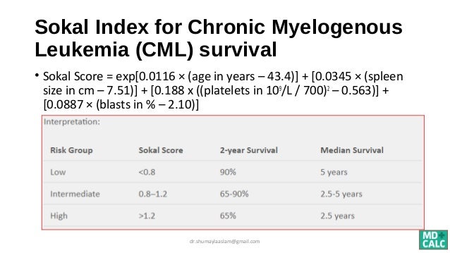Chronic myeloid leukemia (CML)