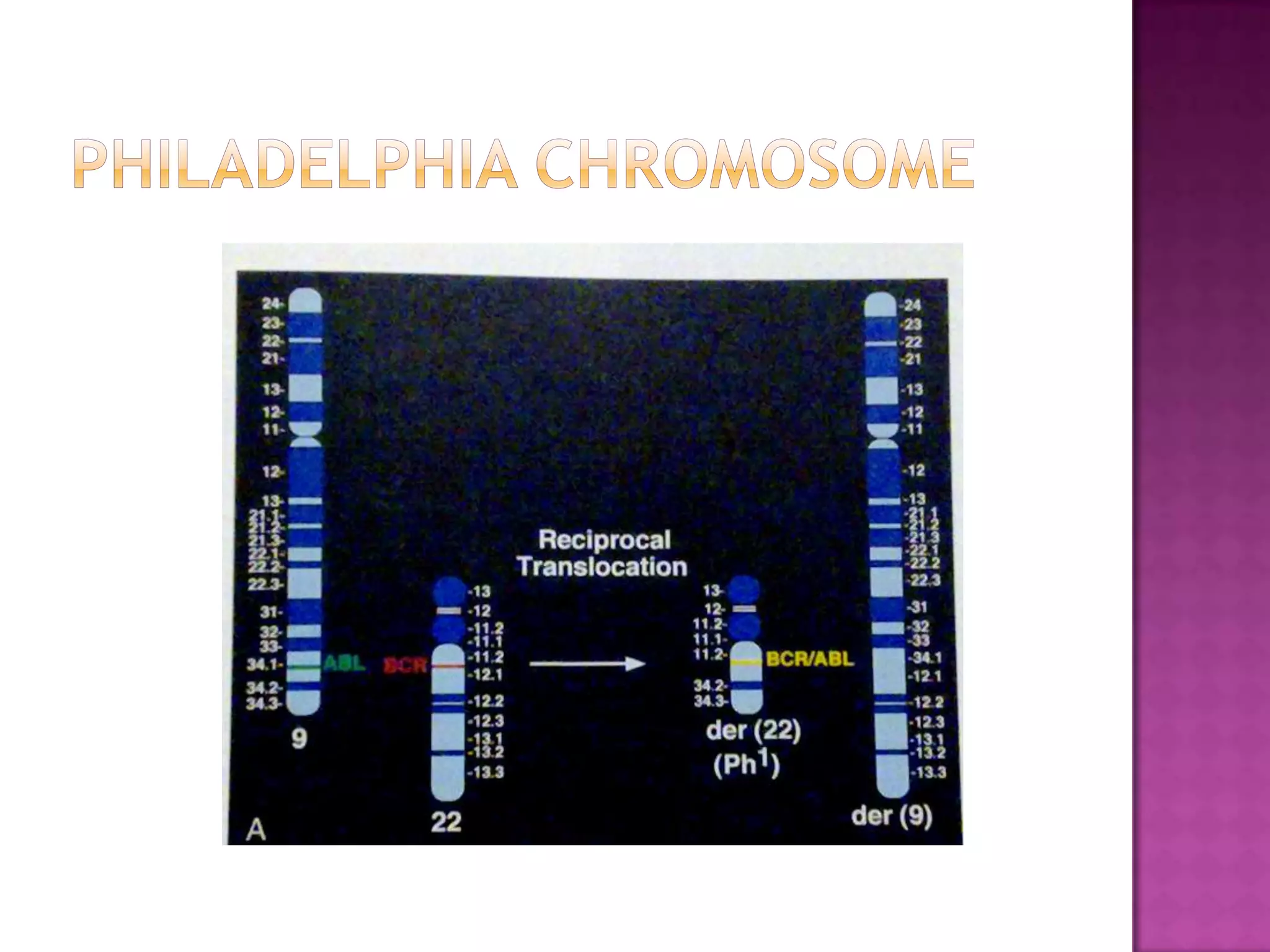 Chronic Myeloproliferative Disorder | PPTX