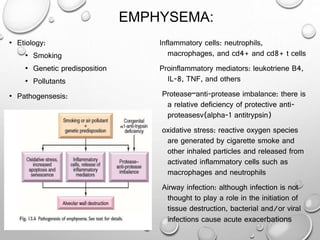 Chronic Obstructive Airway diseases | PPTX