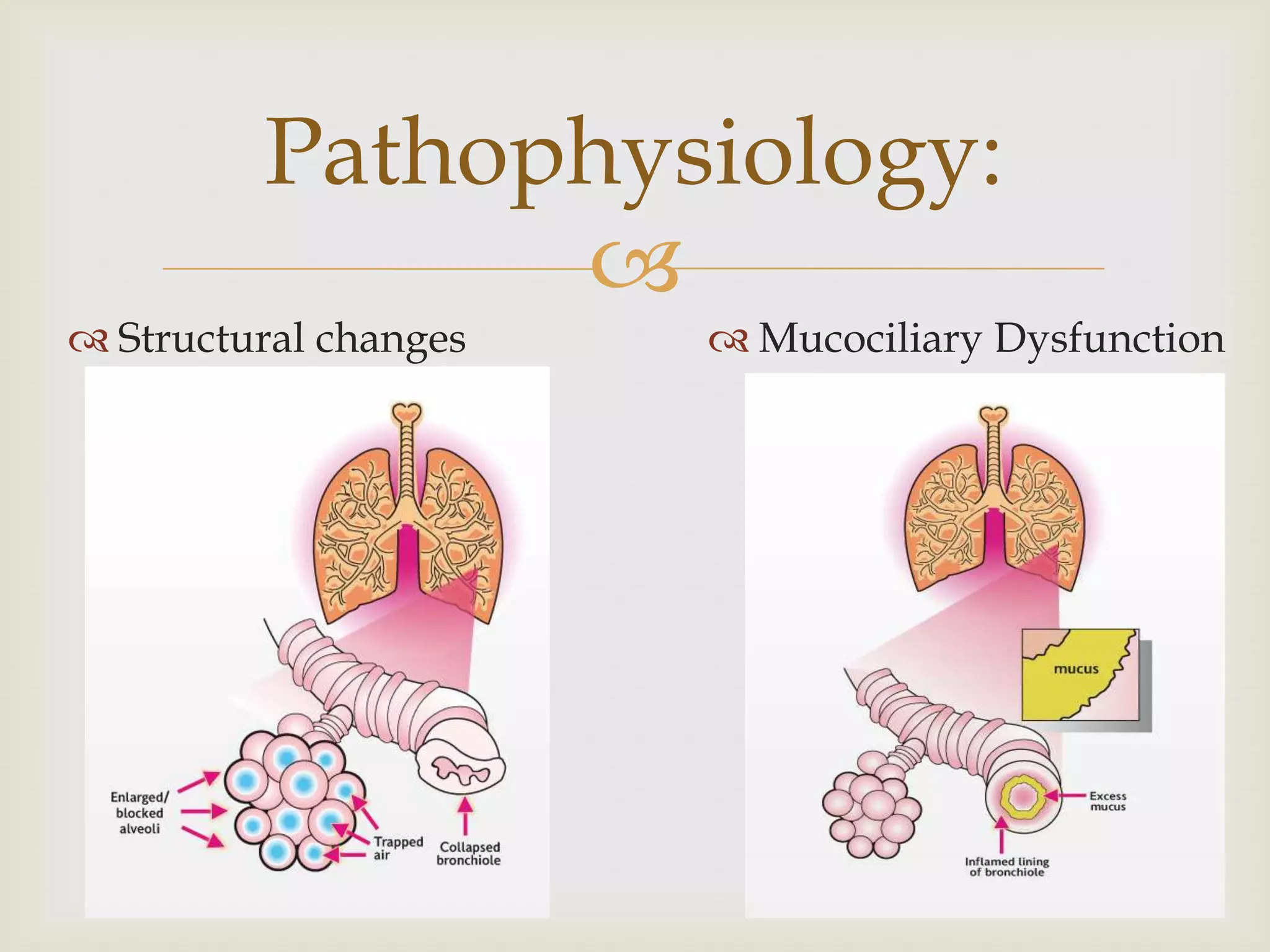 Chronic obstructive airway disease (coad) | PPTX