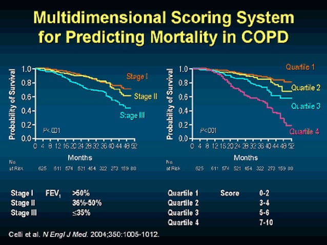 Chronic obstructive airway disease (coad) | PPTX