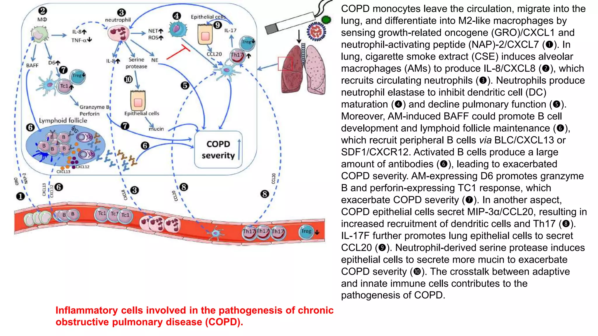 Chronic obstructive pulmonary disease | PPTX