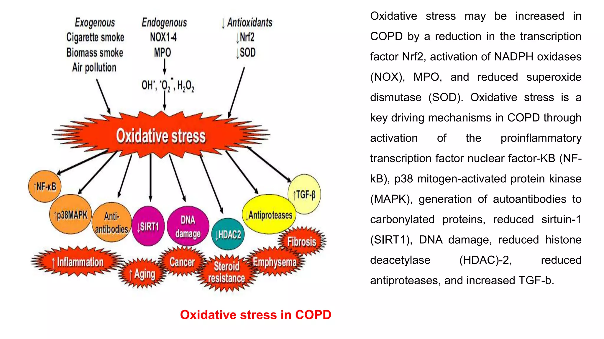 Chronic obstructive pulmonary disease | PPTX