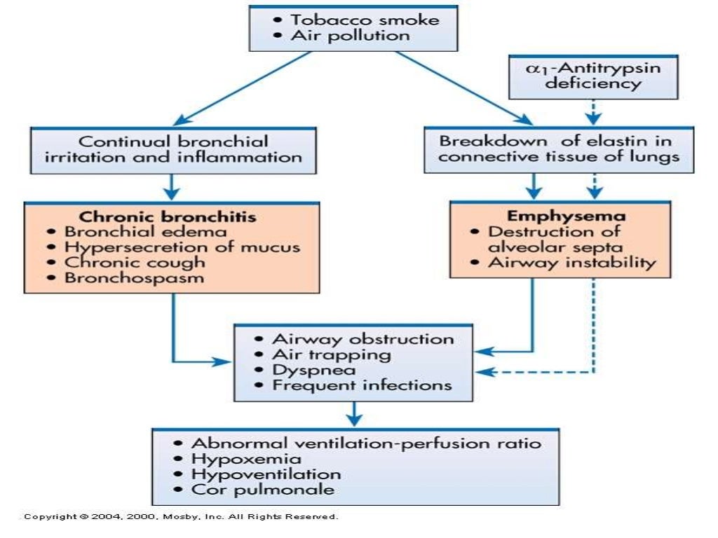 Chronic obstructive pulmonary disease 1