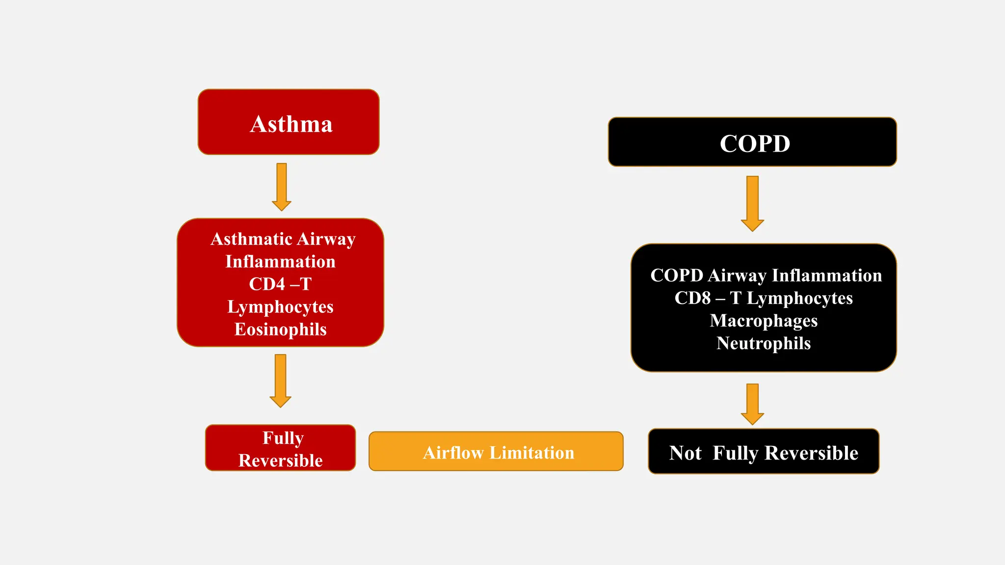 Chronic Obstructive Pulmonary Disease (COPD) Pathophysiology.pptx