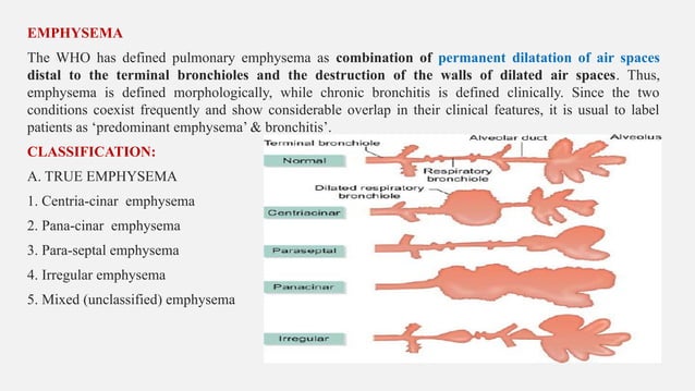 Chronic Obstructive Pulmonary Disease (COPD) Pathophysiology.pptx