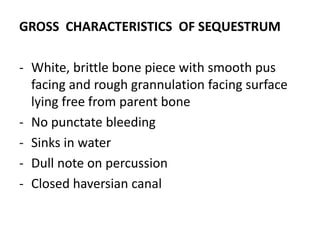CHRONIC OSTEOMYELITIS | PPTX