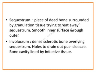 Chronic Osteomyelitis | PPTX