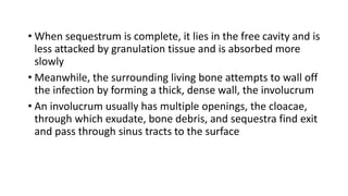 Chronic Osteomyelitis by Dr Binod Chaudhary.pptx | Bone and Joint ...