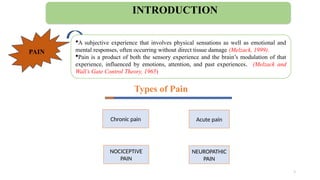 chronic pain , addiction neuropathic pain.pptx
