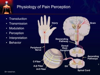 Chronic Pain as a Disease State | PPT