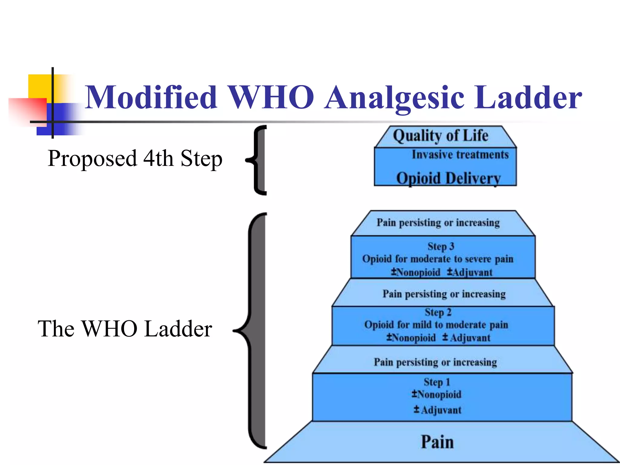 Chronic pain management | PPTX