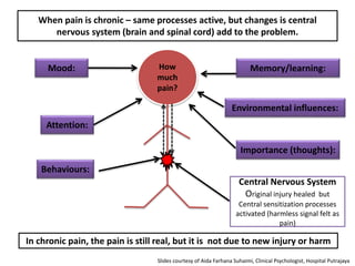 Psychological Management of Chronic Pain Workshop | PPTX