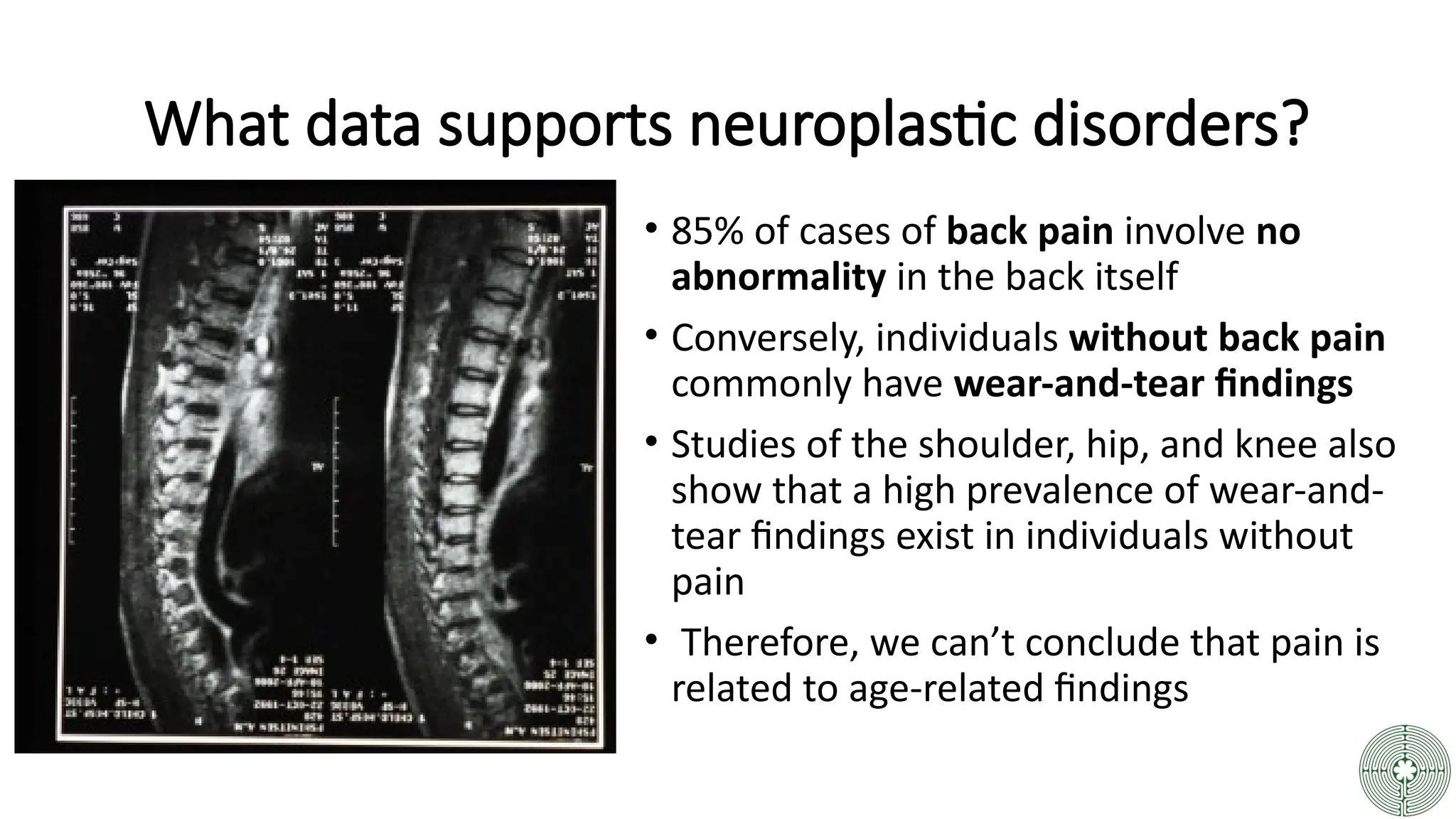 Chronic Pain & Neuroplastic Symptoms 3.15.25.pptx