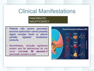 Chronic Pancreatitis | PPT | Digestive Disorders | Diseases and Conditions