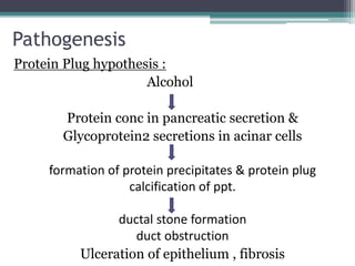 Chronic Pancreatitis Pathogenesis