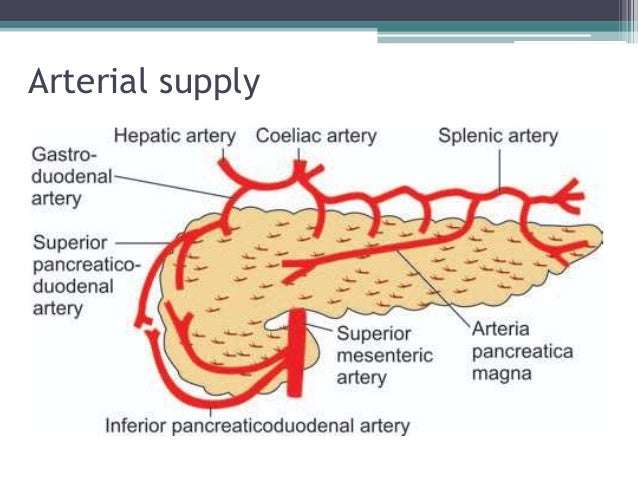 Chronic pancreatitis