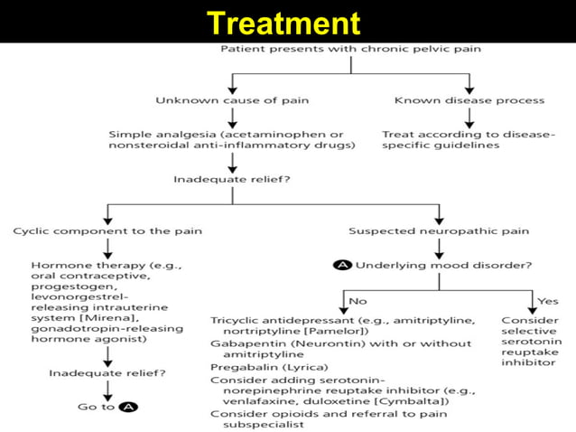 Chronic pelvic pain | PPT | Brain and Nervous System Disorders ...