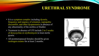 Chronic pelvic pain | PPTX