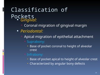 Chronic Periodontitis(Adult Periodontitis).ppt