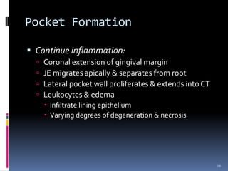 ChronicPerio-16-12-14 (1).ppt | Dental Health | Diseases and Conditions