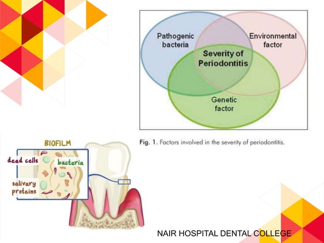 chronic PERIODONTITIS definition and pathophysiology | PPTX